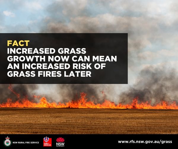 High Fuel Load Prompts Grass Fires Warning In The Hunter - 2NURFM