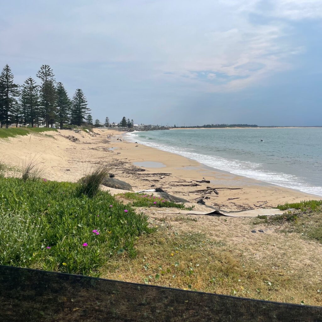 STOCKTON - State Govt Funding for Dune Stabilisation - 2NURFM