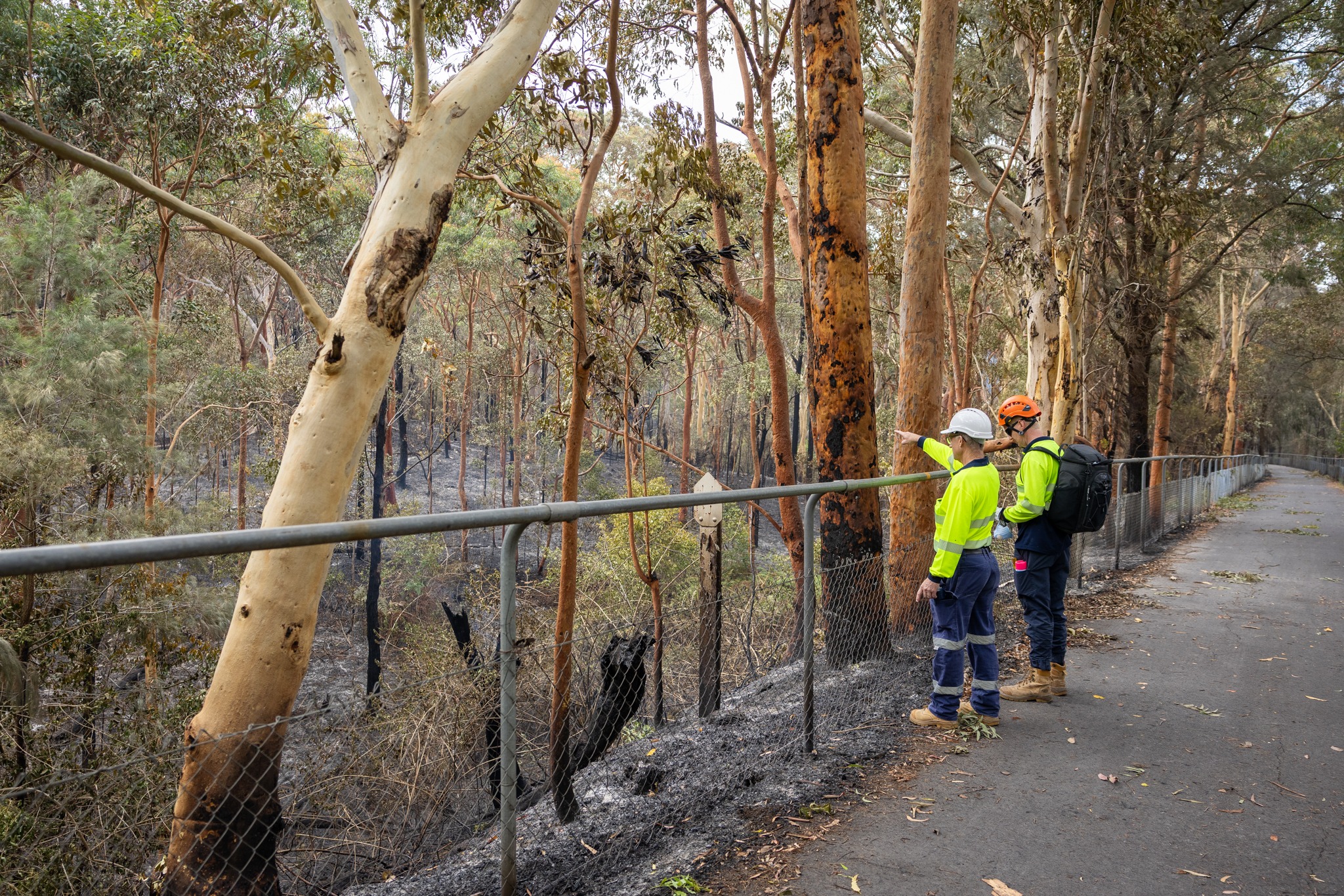 REDHEAD FIRE - Lake Macquarie Added to Disaster Declaration List - 2NURFM