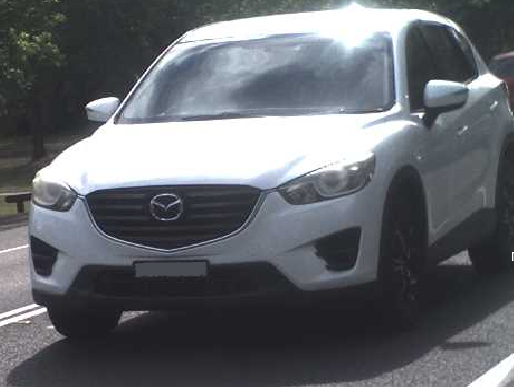 BUCHANAN - Police Appeal for Help Following Suspicious Grass Fires - 2NURFM